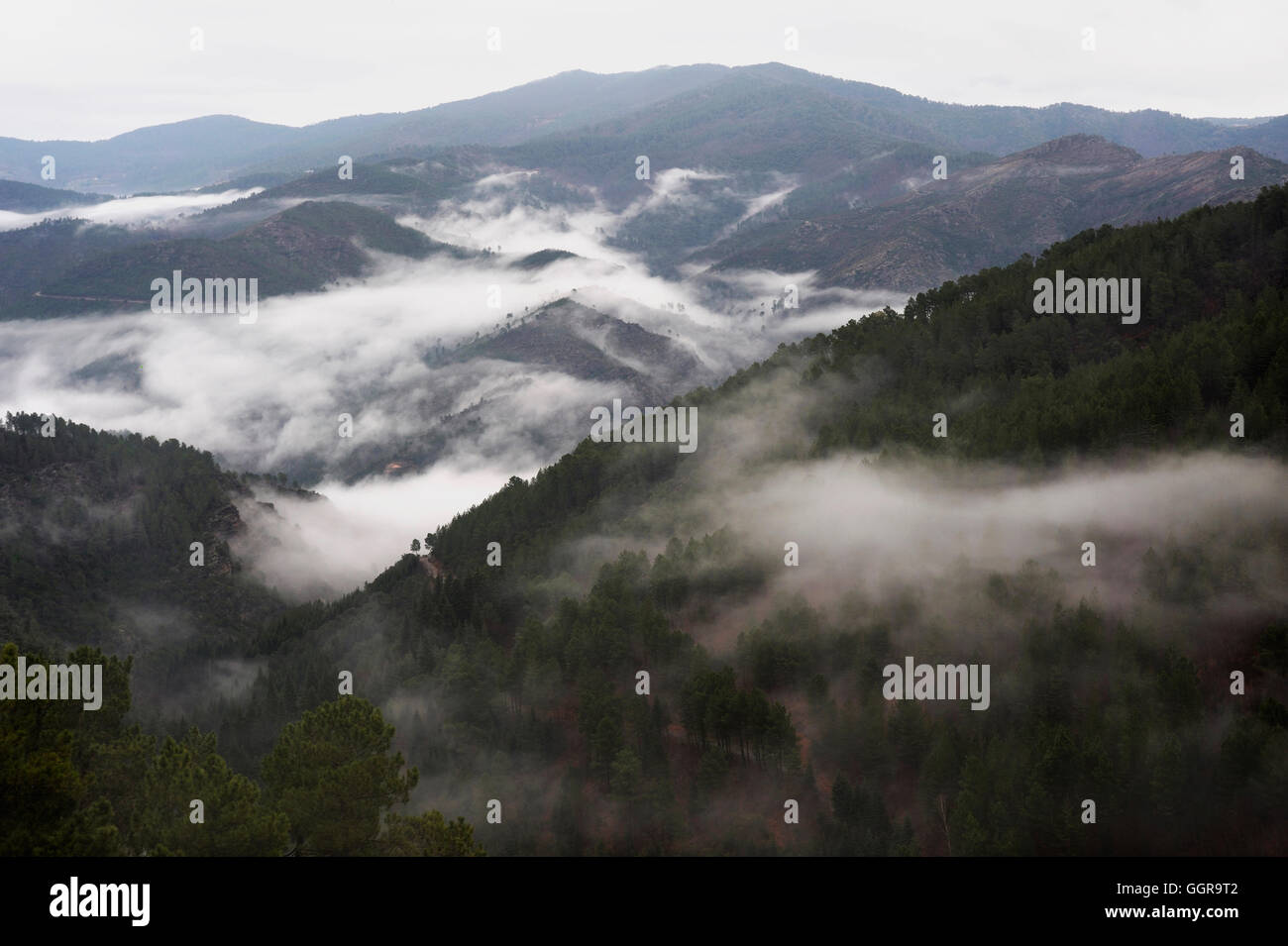 Cevennes mountain range hi-res stock photography and images - Alamy