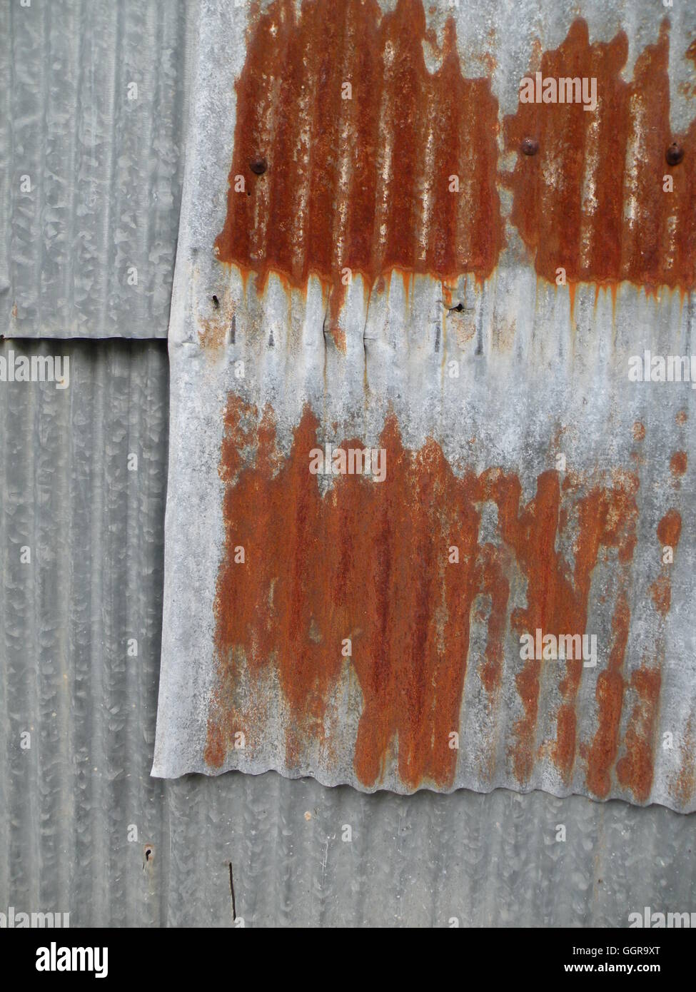Sections of overlapping, old rusty sheet metal panels adorned with ...