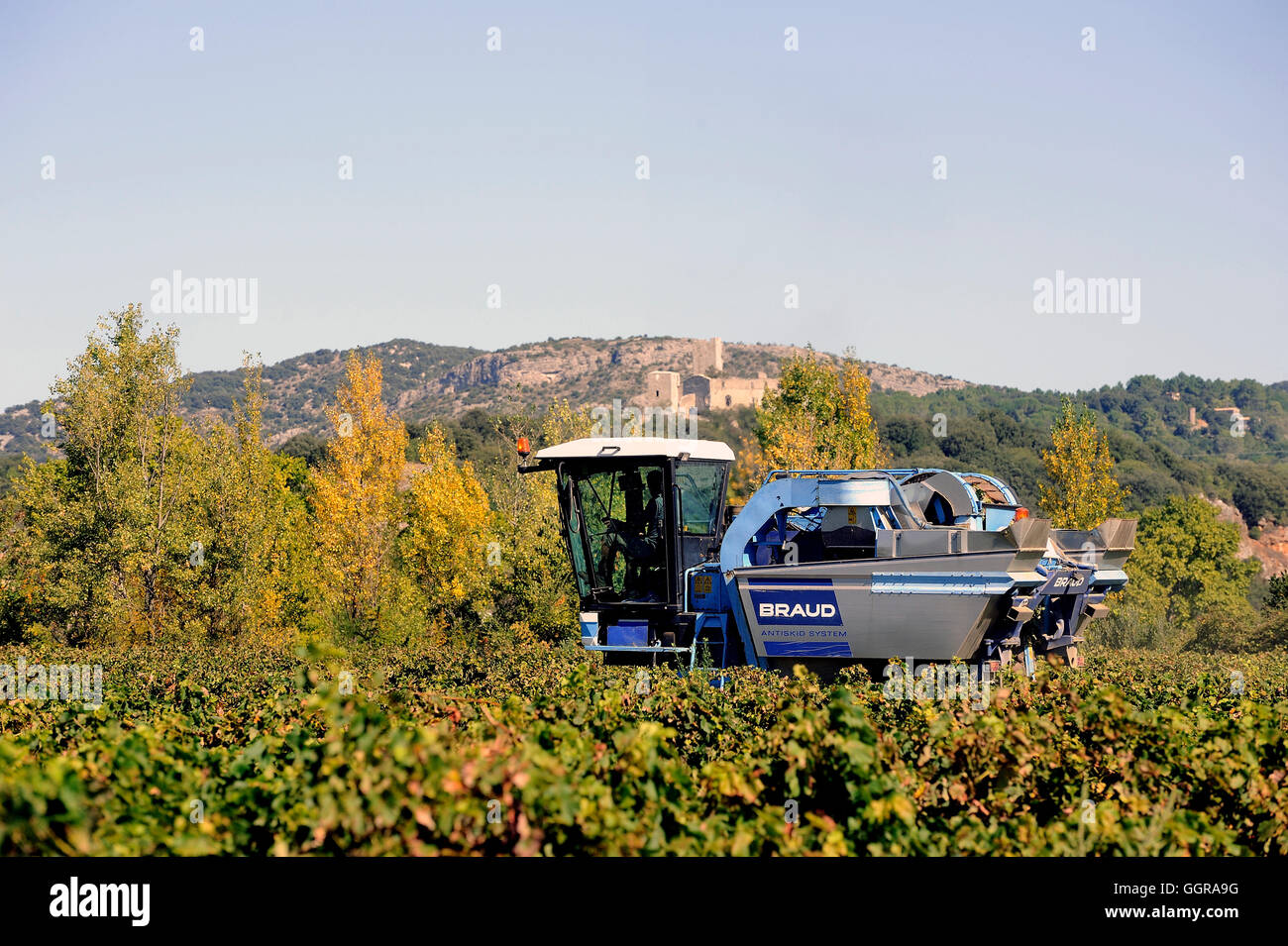 Gard france wine hi-res stock photography and images - Alamy