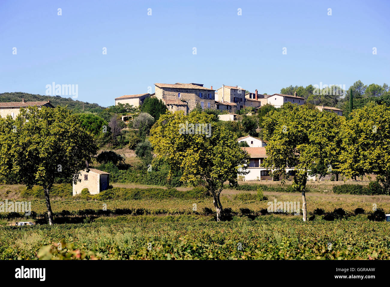 The harvest with machines to harvest the grapes in France in the ...