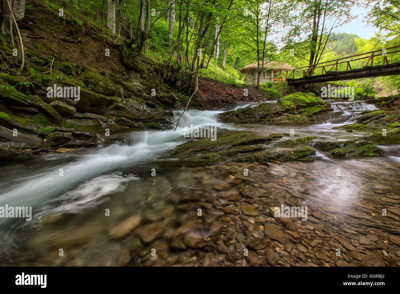 beautiful view of the fuzzy water of a small river with a bridge and a ...