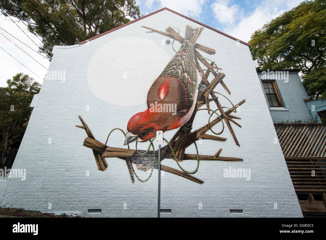 View of a newly commissioned mural by street artist 'Thomas Jackson' on ...