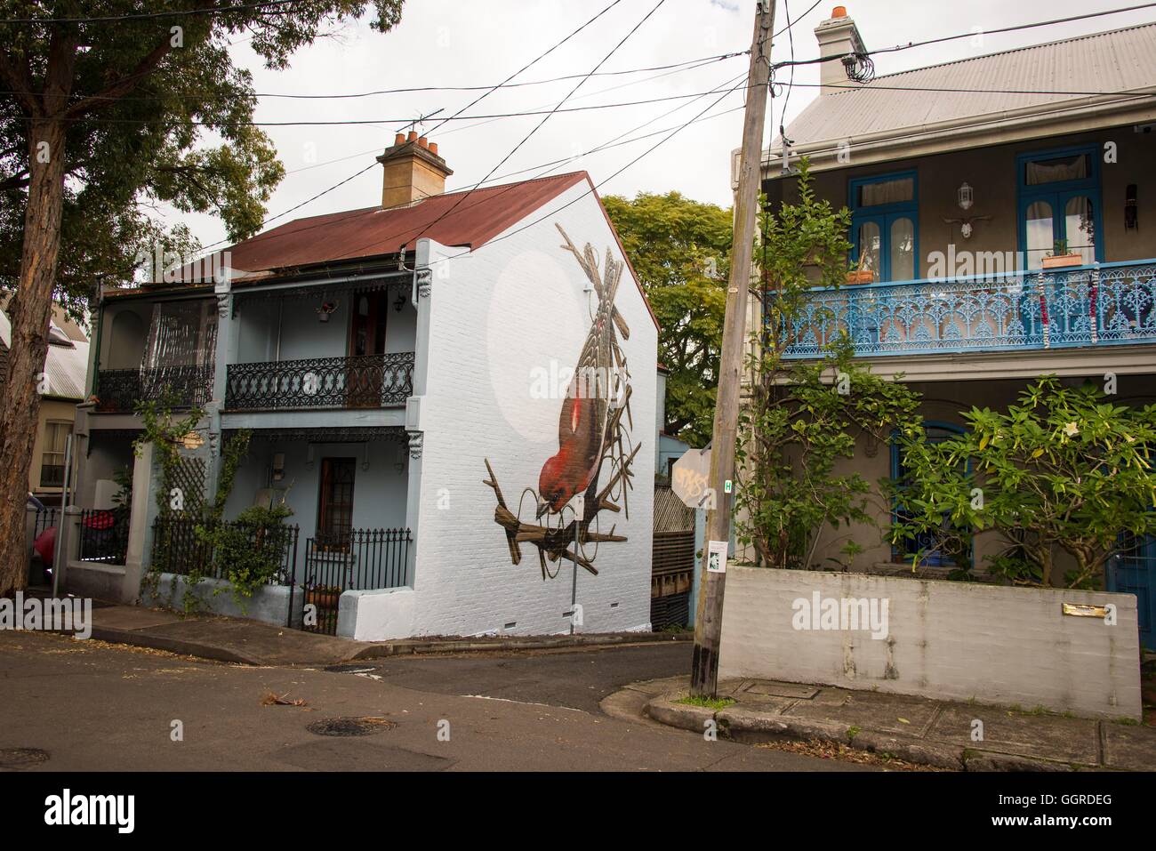 View of a newly commissioned mural by street artist 'Thomas Jackson' on ...