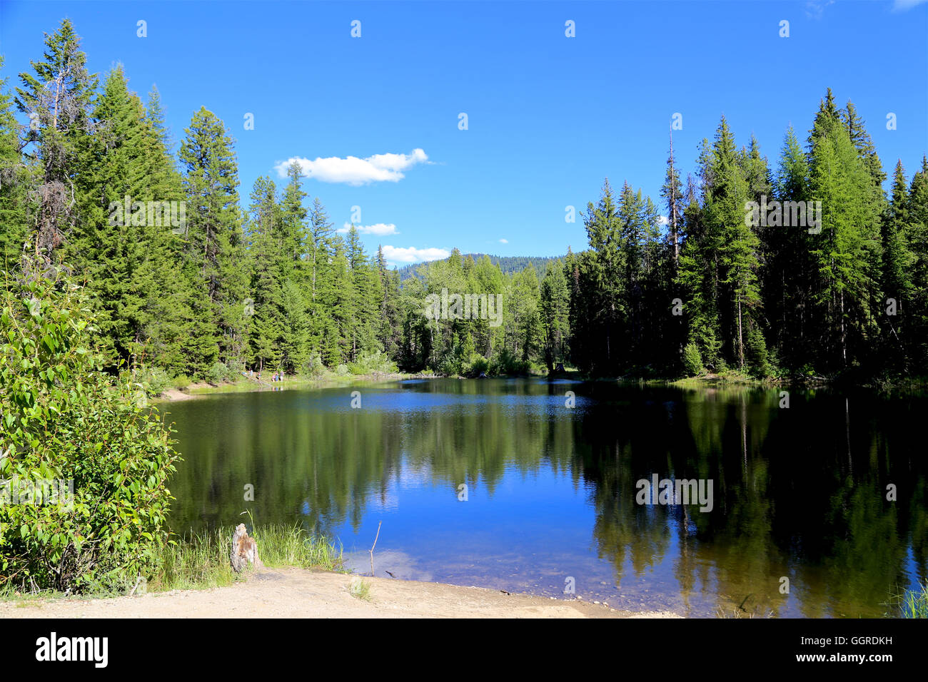 Peaceful fish pond - reflection Stock Photo - Alamy