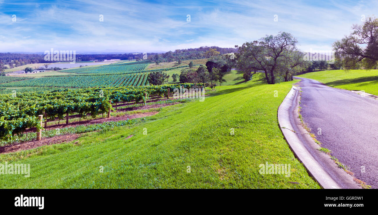 Audrey Wilkinson Vineyard in Hunter Valley, New South Wales, Australia ...