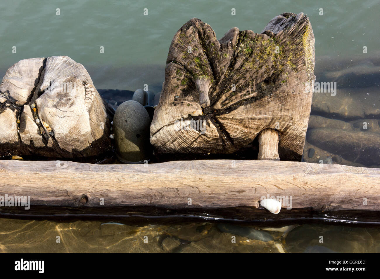 Close up Detail of the Historic Timber Construction on the Wreck of the ...