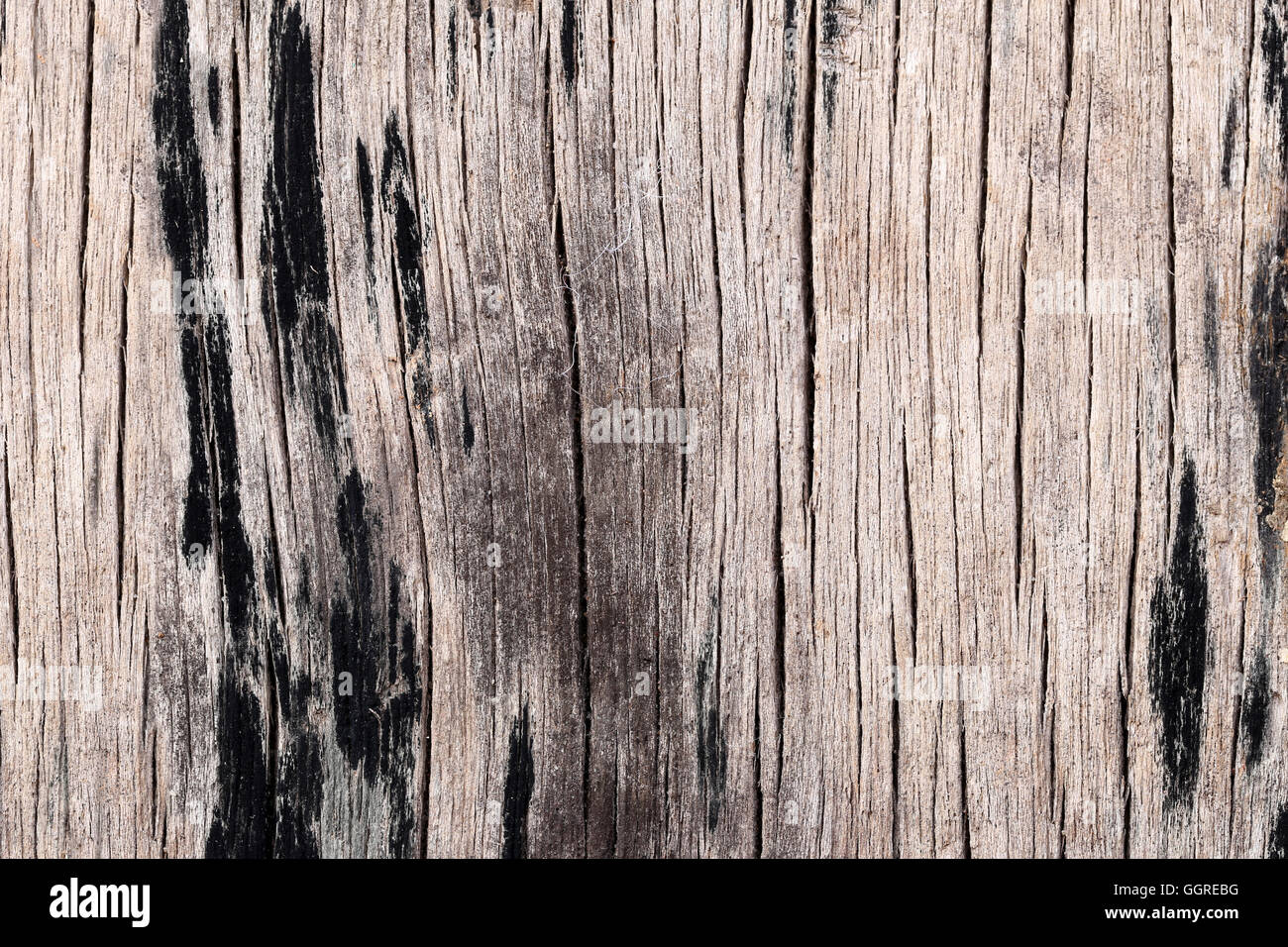 Old wood texture for the design background Stock Photo - Alamy