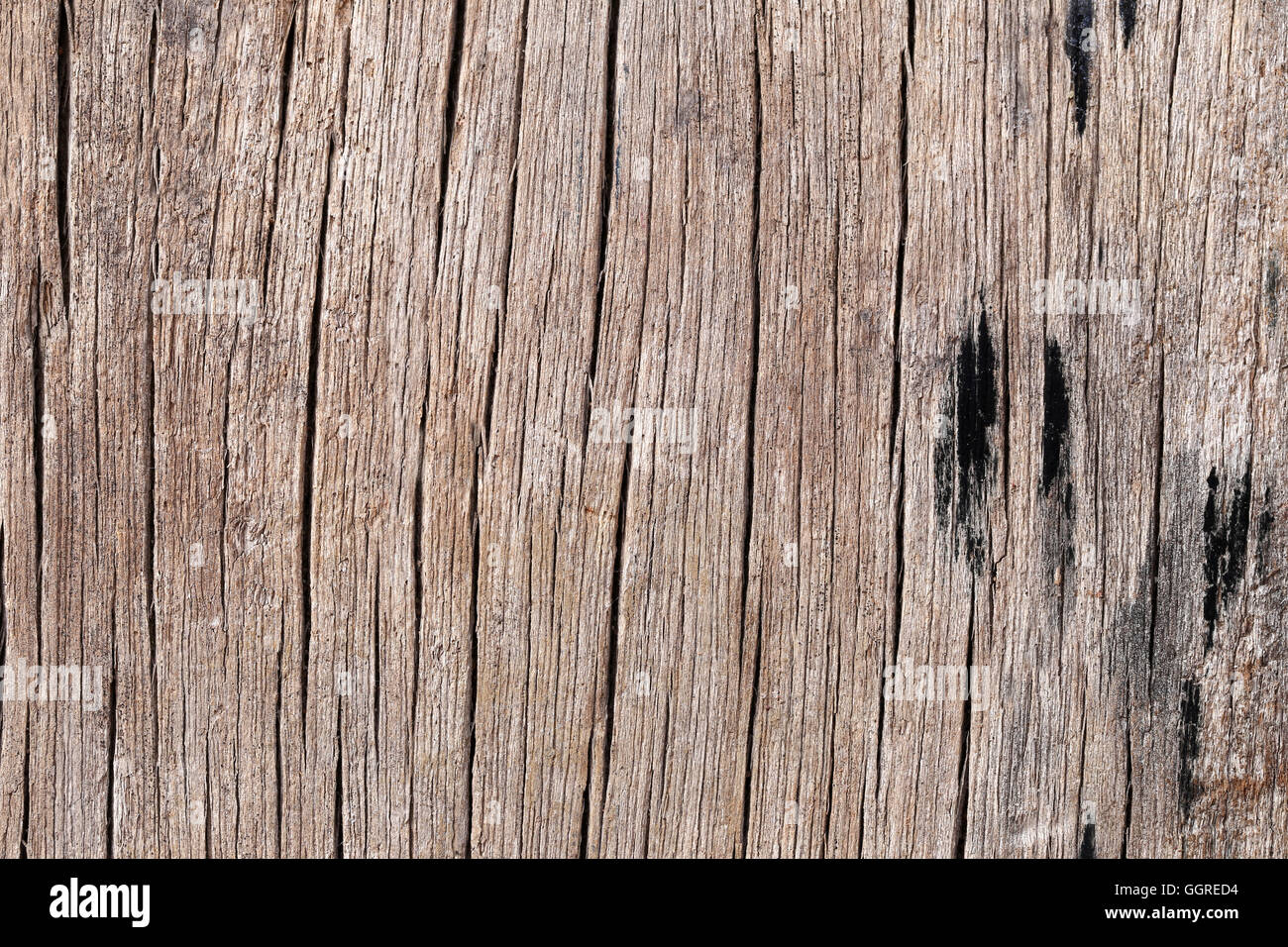 Old wood texture for the design background Stock Photo - Alamy