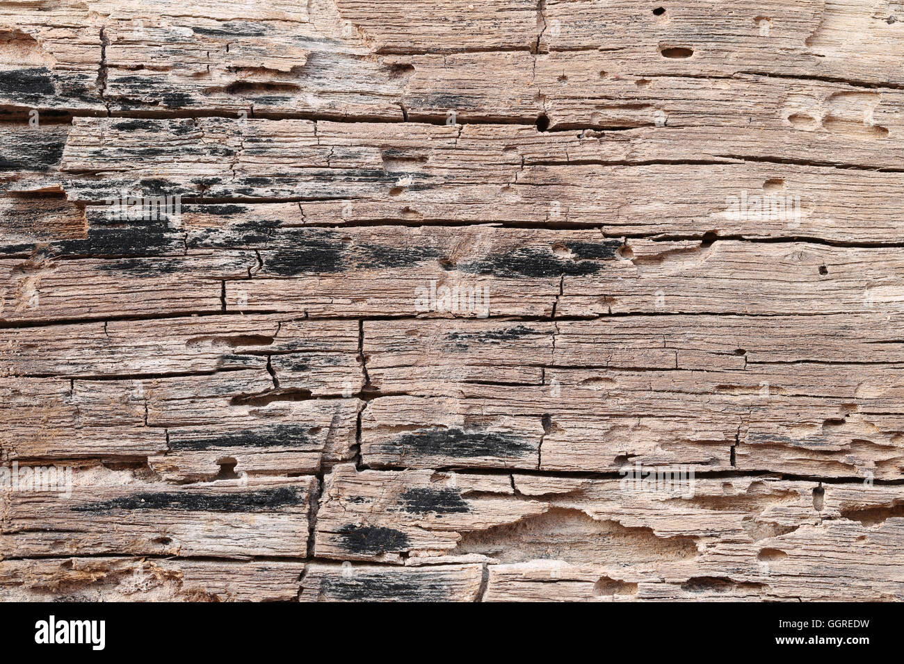 Old wood texture for the design background Stock Photo - Alamy