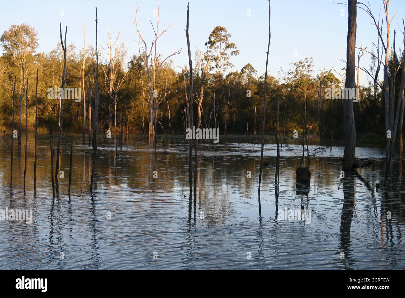 Wetlands sunset sunrise hi-res stock photography and images - Alamy