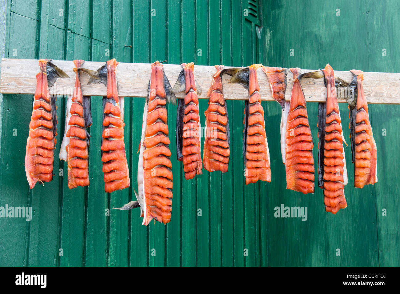 Skinned Arctic charr fish hung outside an Inuit house to dry. Itilleq ...