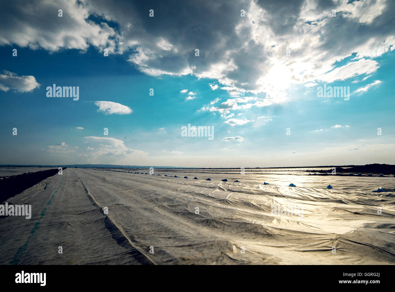 Very dry land - drought - and hose for watering Stock Photo - Alamy