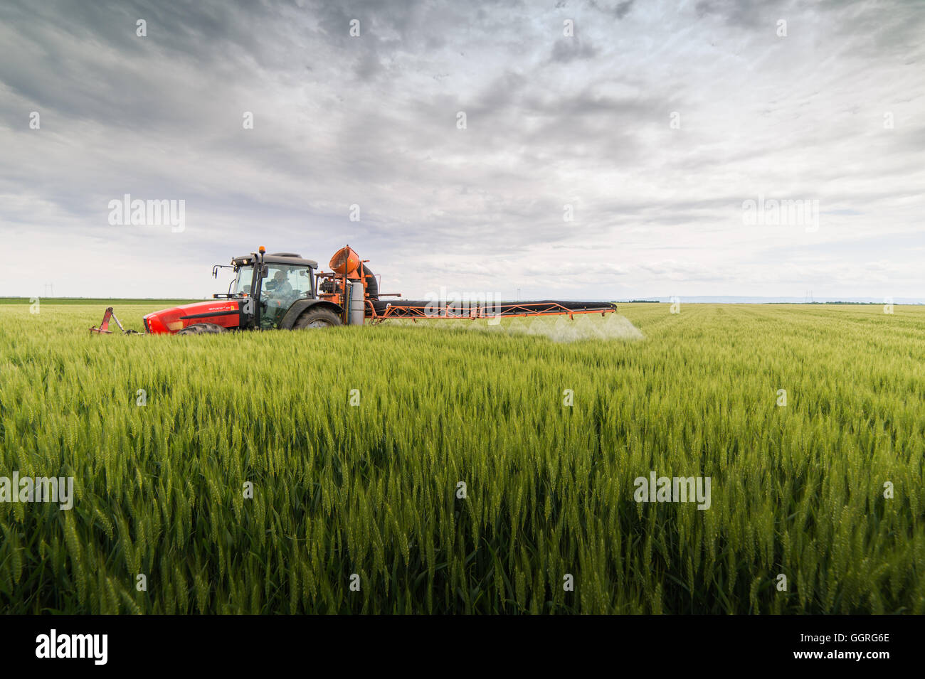 Tractor spraying wheat field with sprayer Stock Photo - Alamy