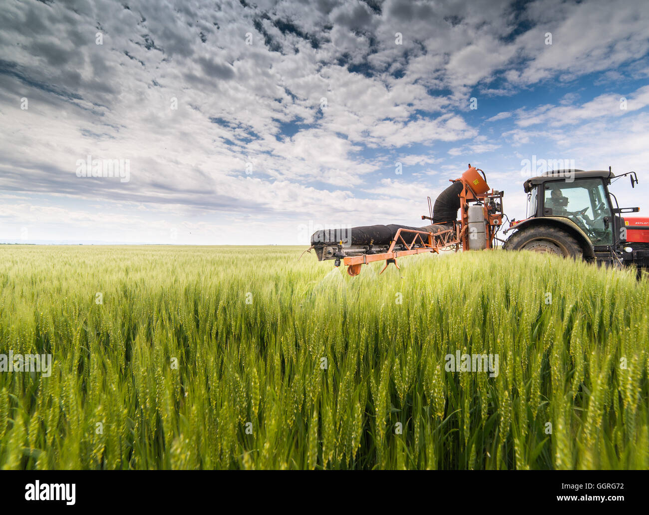 Tractor spraying wheat field with sprayer Stock Photo - Alamy