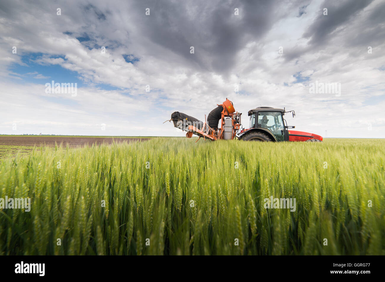 Tractor spraying wheat field with sprayer Stock Photo - Alamy