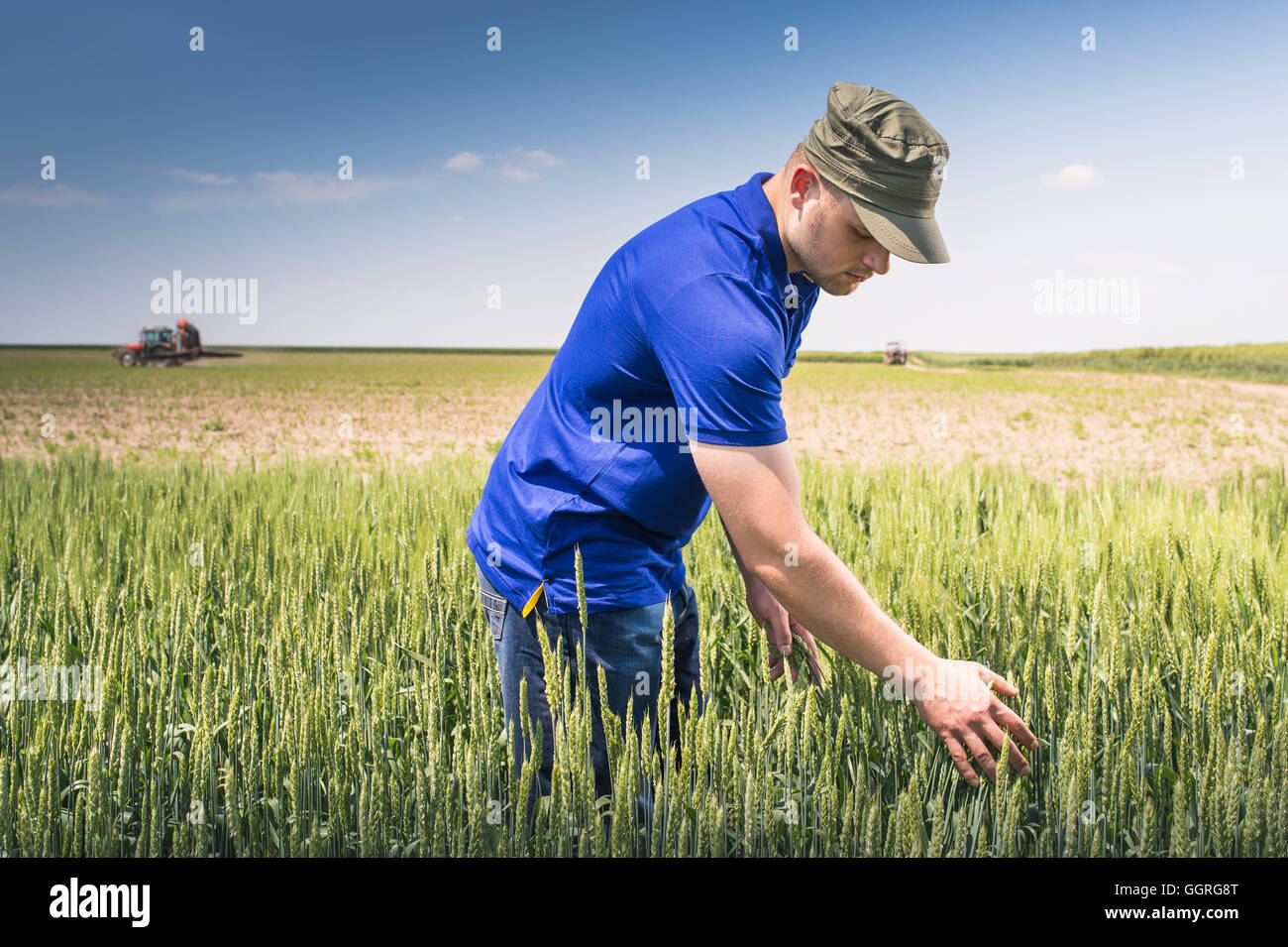 Farmer in wheat field hi-res stock photography and images - Alamy