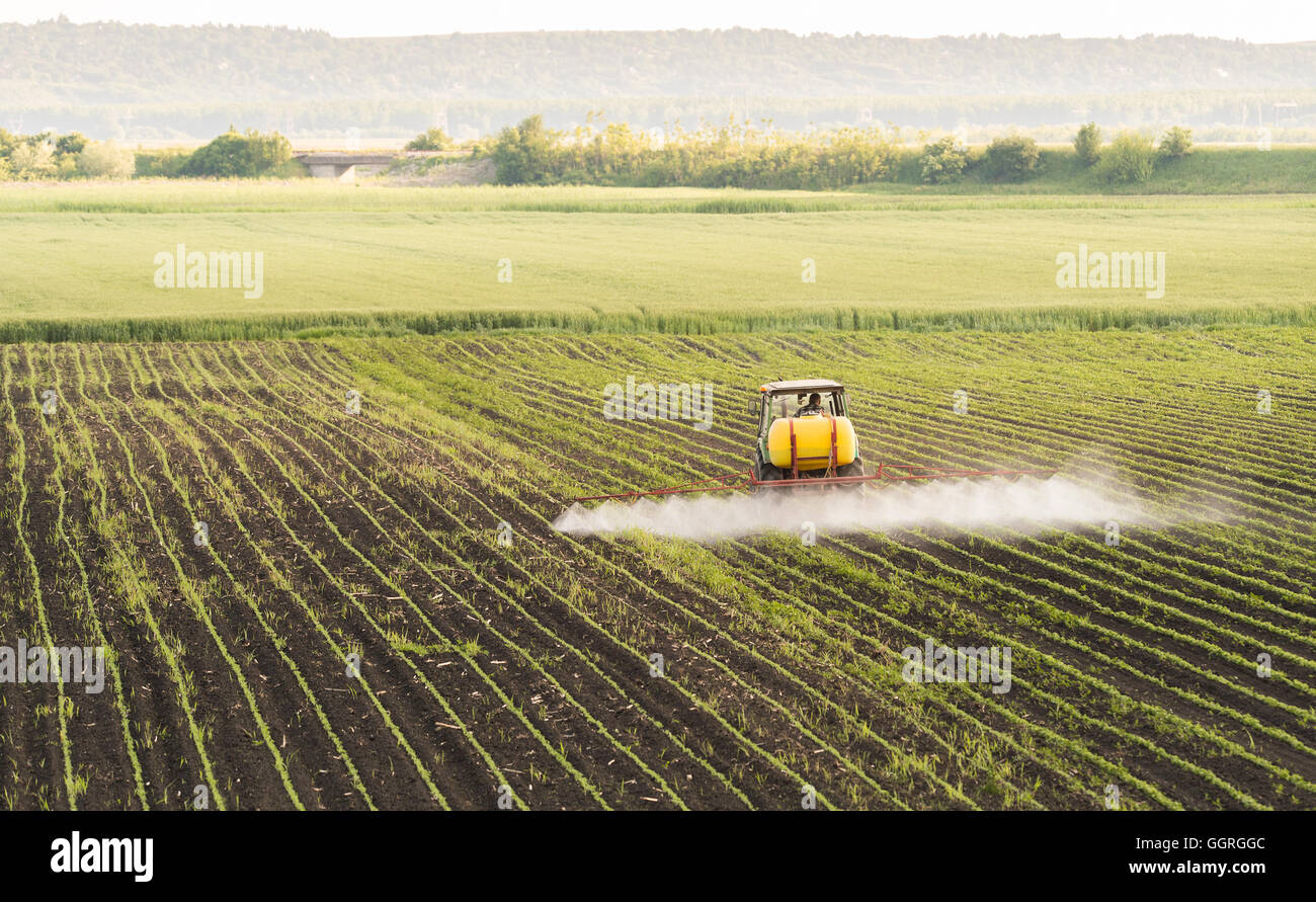 Tractor spraying soybean field at spring Stock Photo - Alamy