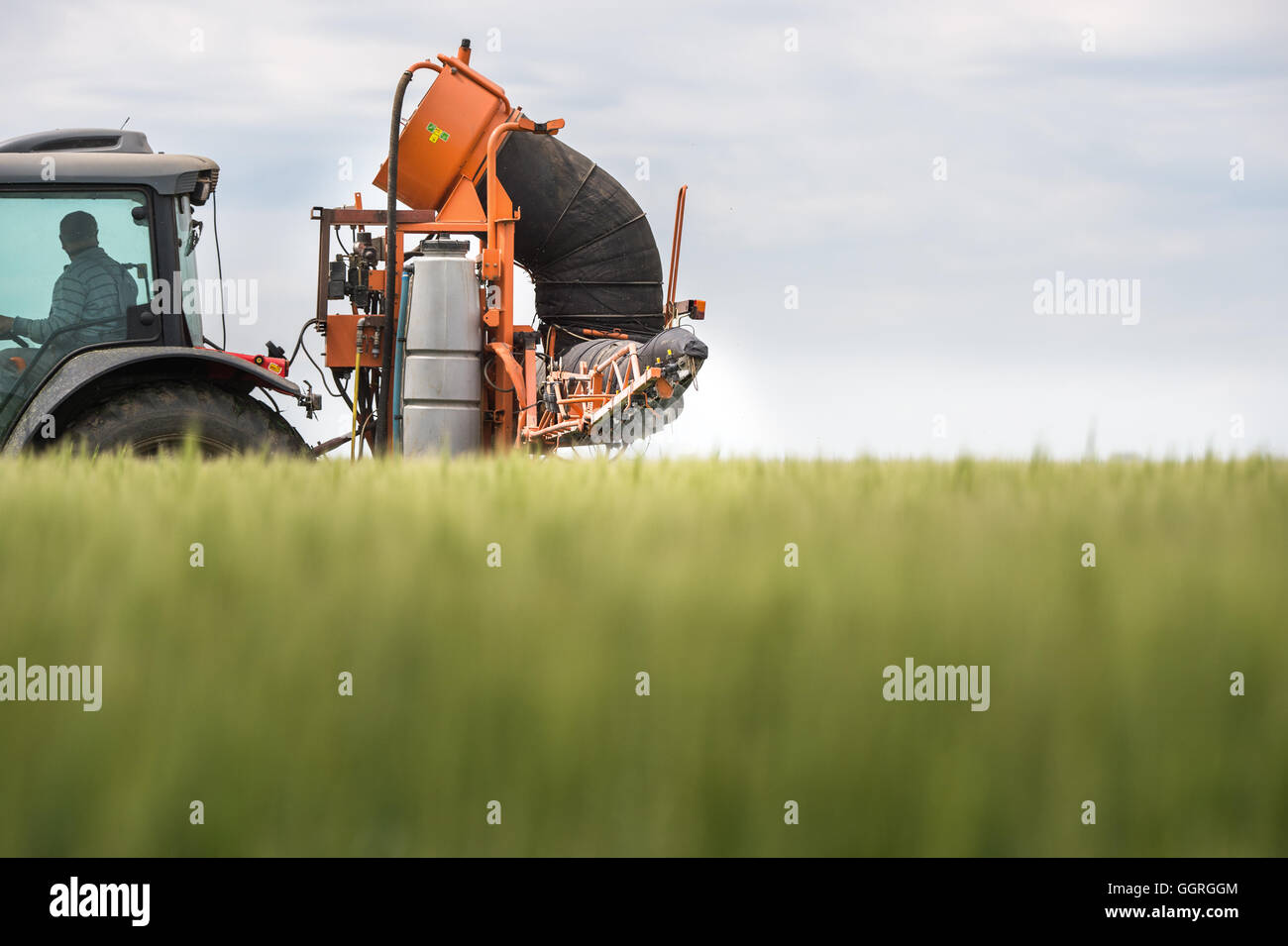 Tractor spraying wheat field with sprayer Stock Photo - Alamy