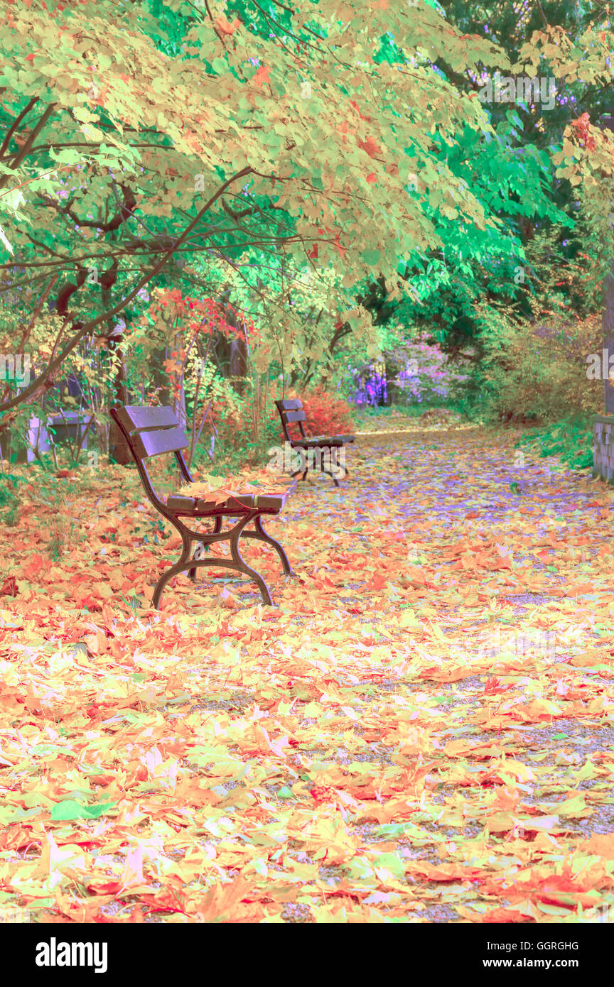 Fall park path Stock Photo - Alamy
