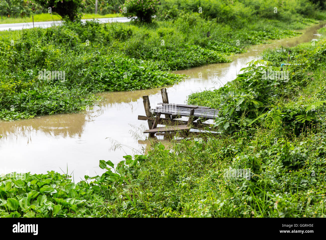 Small rickety old wooden pier in an overgrown roadside canal in ...
