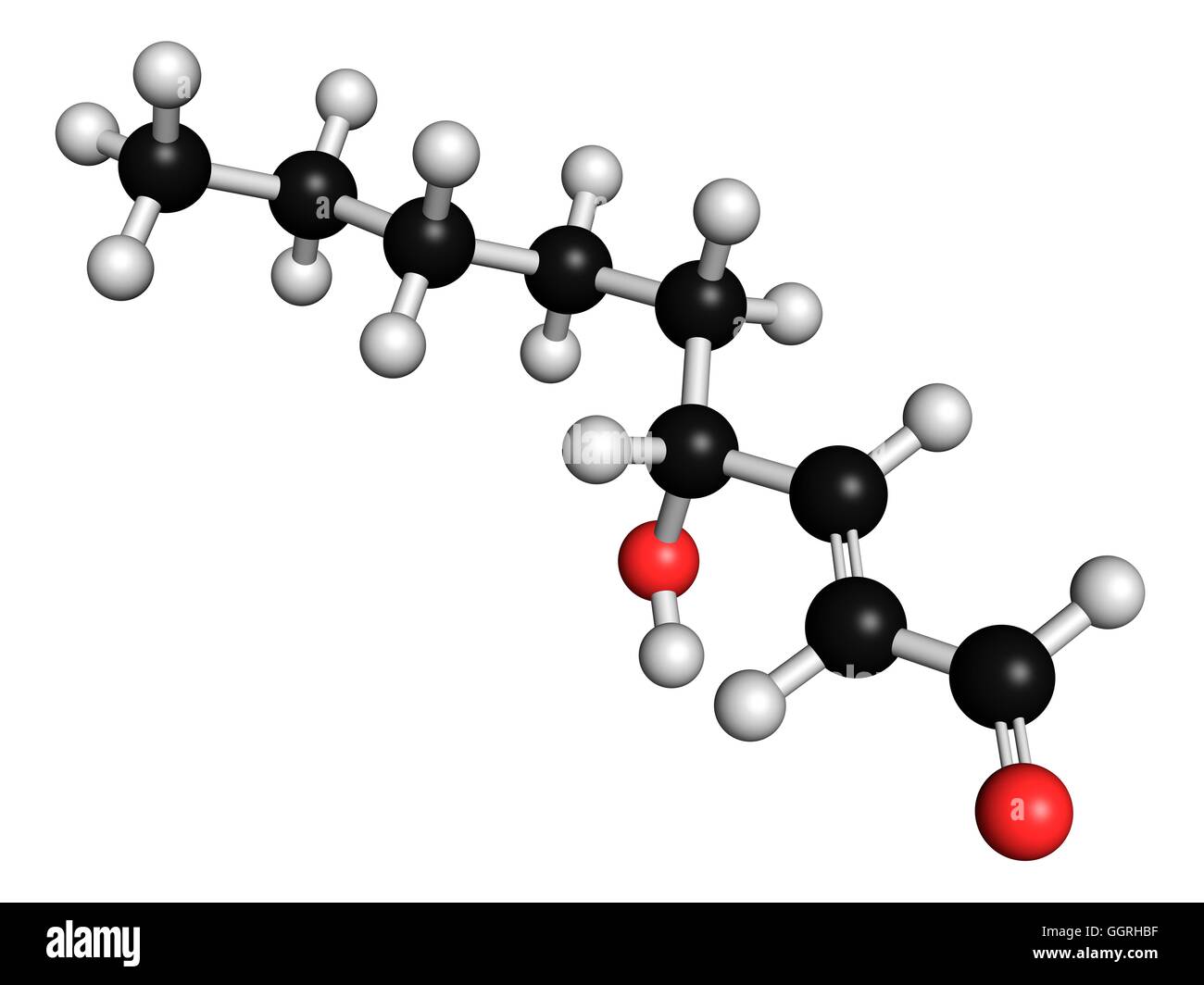 Pictures Of Lipids Molecules