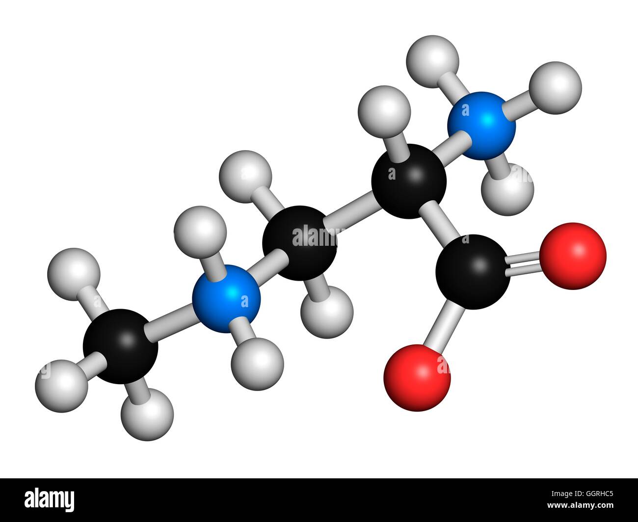 beta-Methylamino-L-alanine (BMAA) toxic amino acid molecule. Produced ...