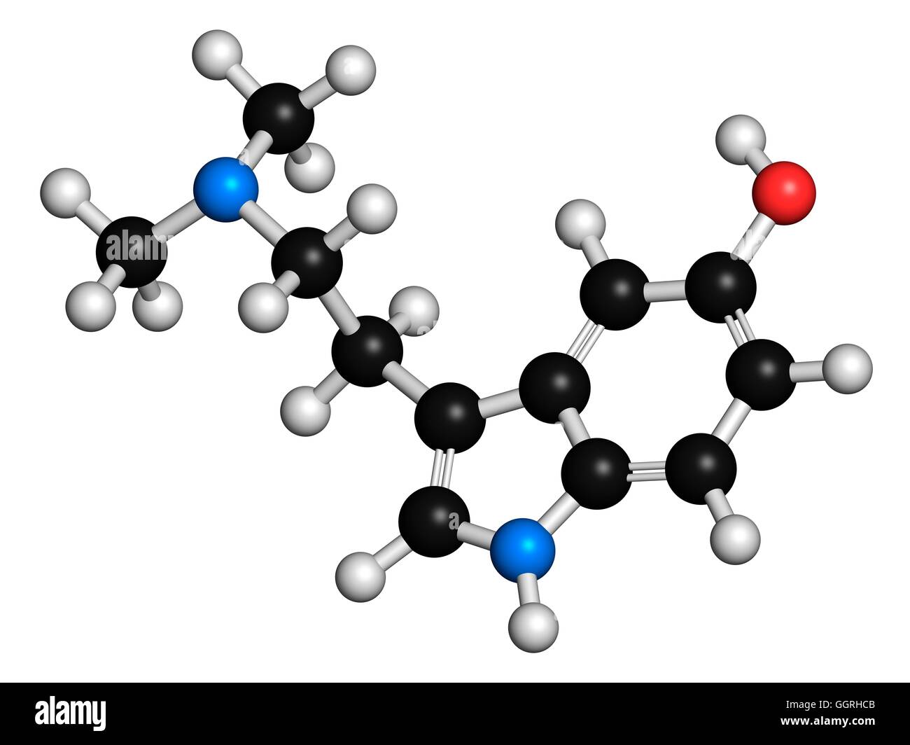 Bufotenin molecule. Tryptamine present in several psychedelic toads. 3D ...