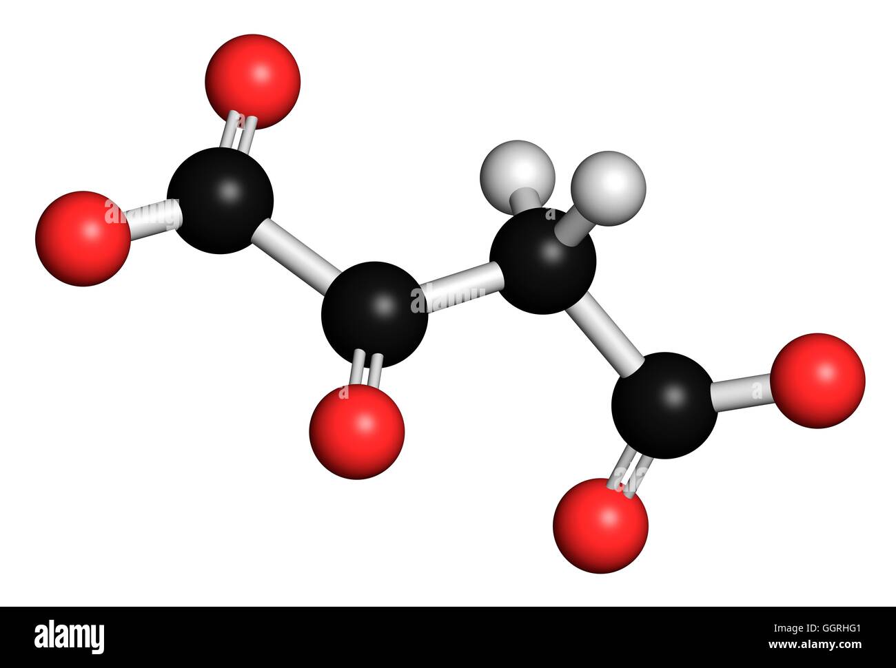 Oxaloacetic Acid Oxaloacetate Metabolic Intermediate Molecular Model