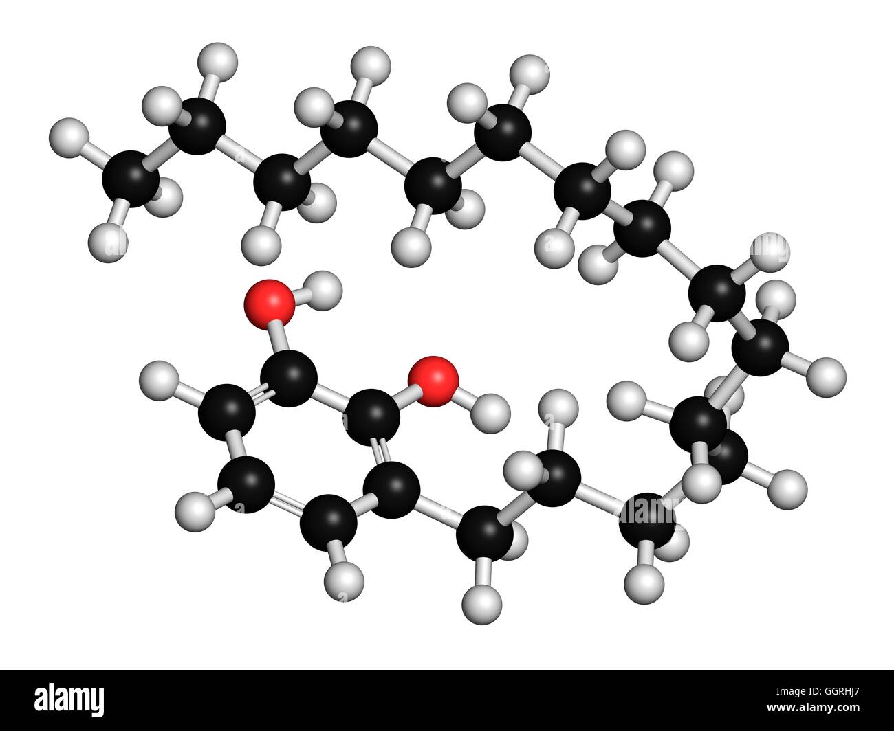 Urushiol poison ivy allergen molecule. Also present in poison oak ...