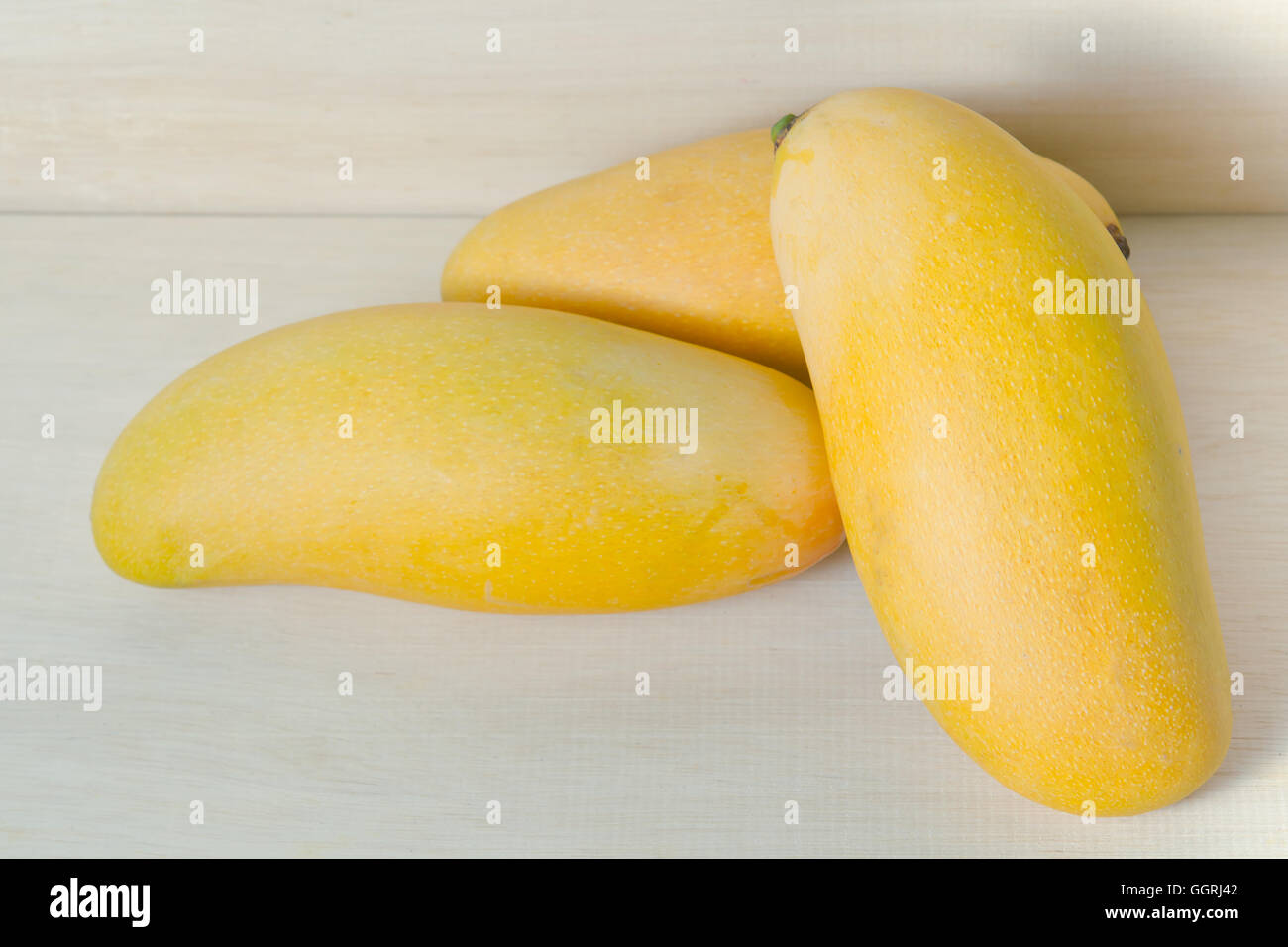 Mango fruit (Other names are horse mango, Mangifera, foetida ...