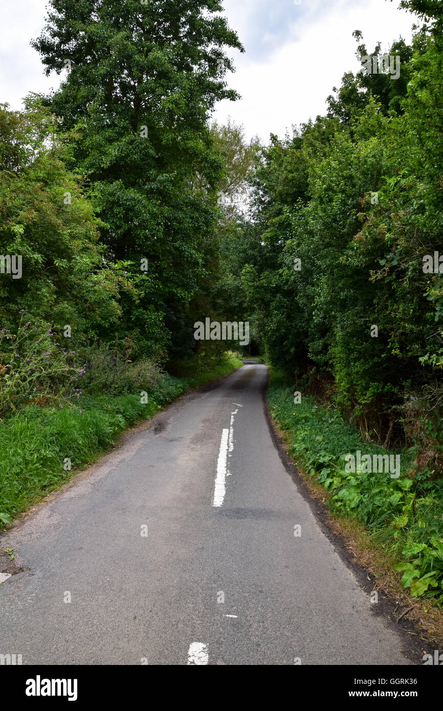 Rural country road in England Stock Photo - Alamy
