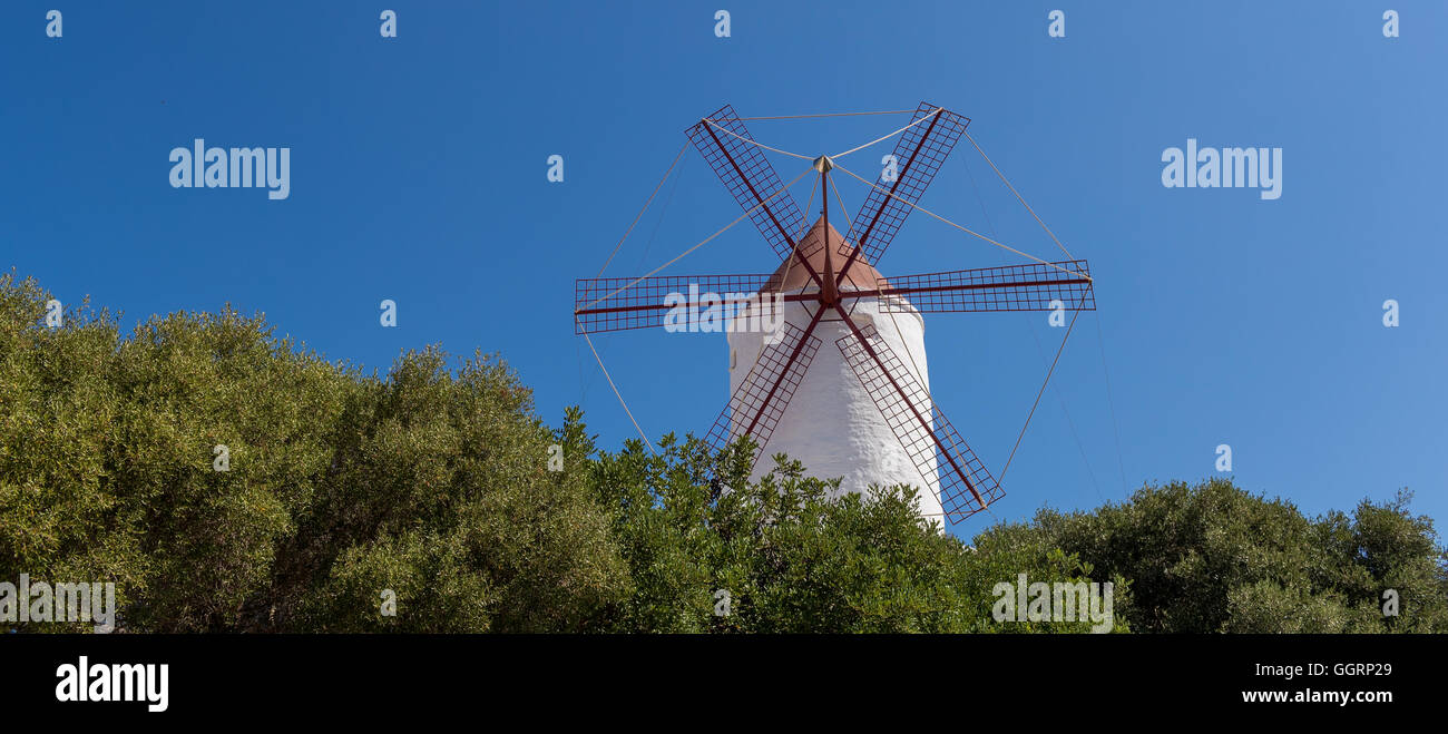 Wind mill in the blue sky above green trees Stock Photo - Alamy