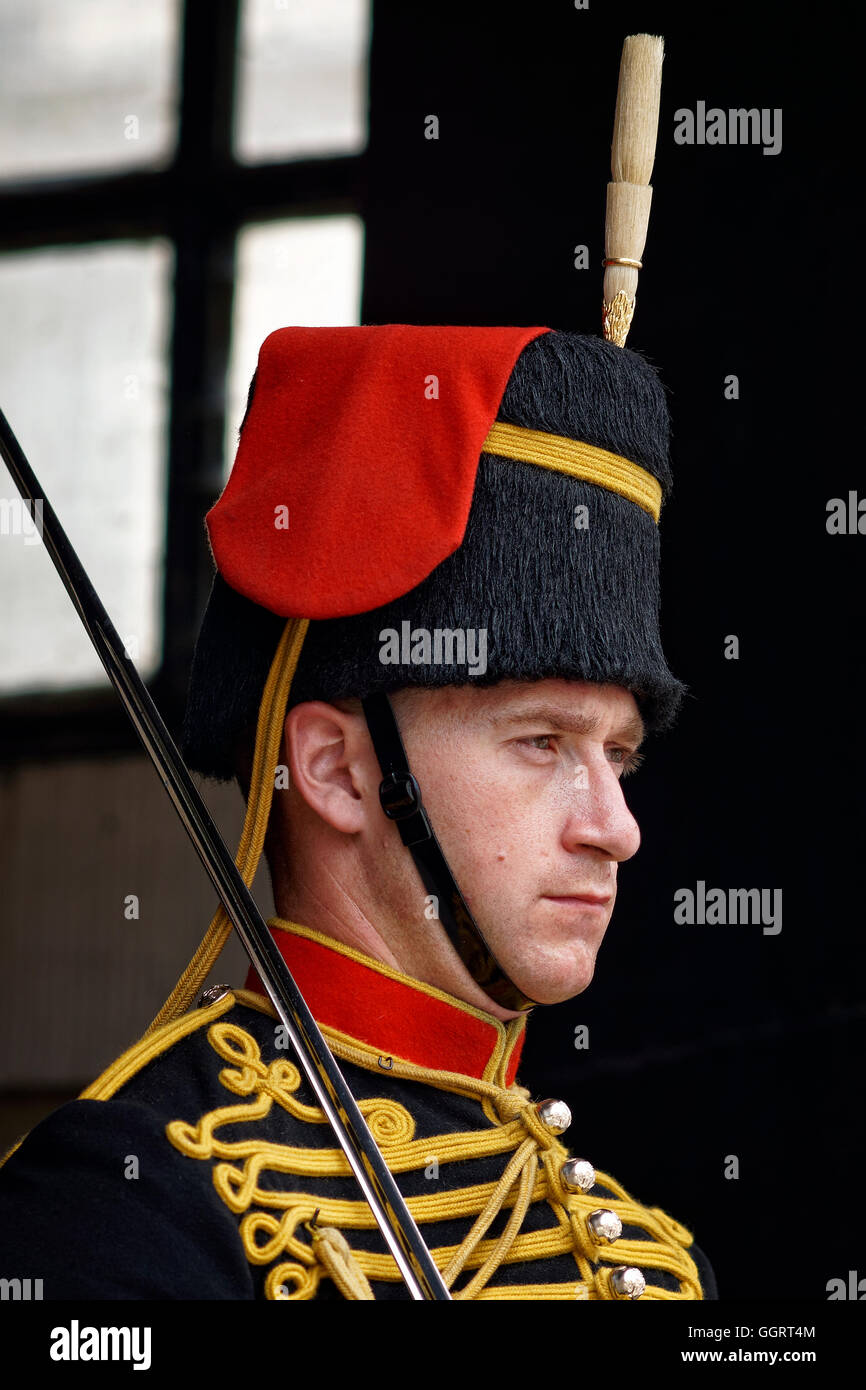 Male Trooper, King's Troop, Royal Horse Artillery Stock Photo - Alamy