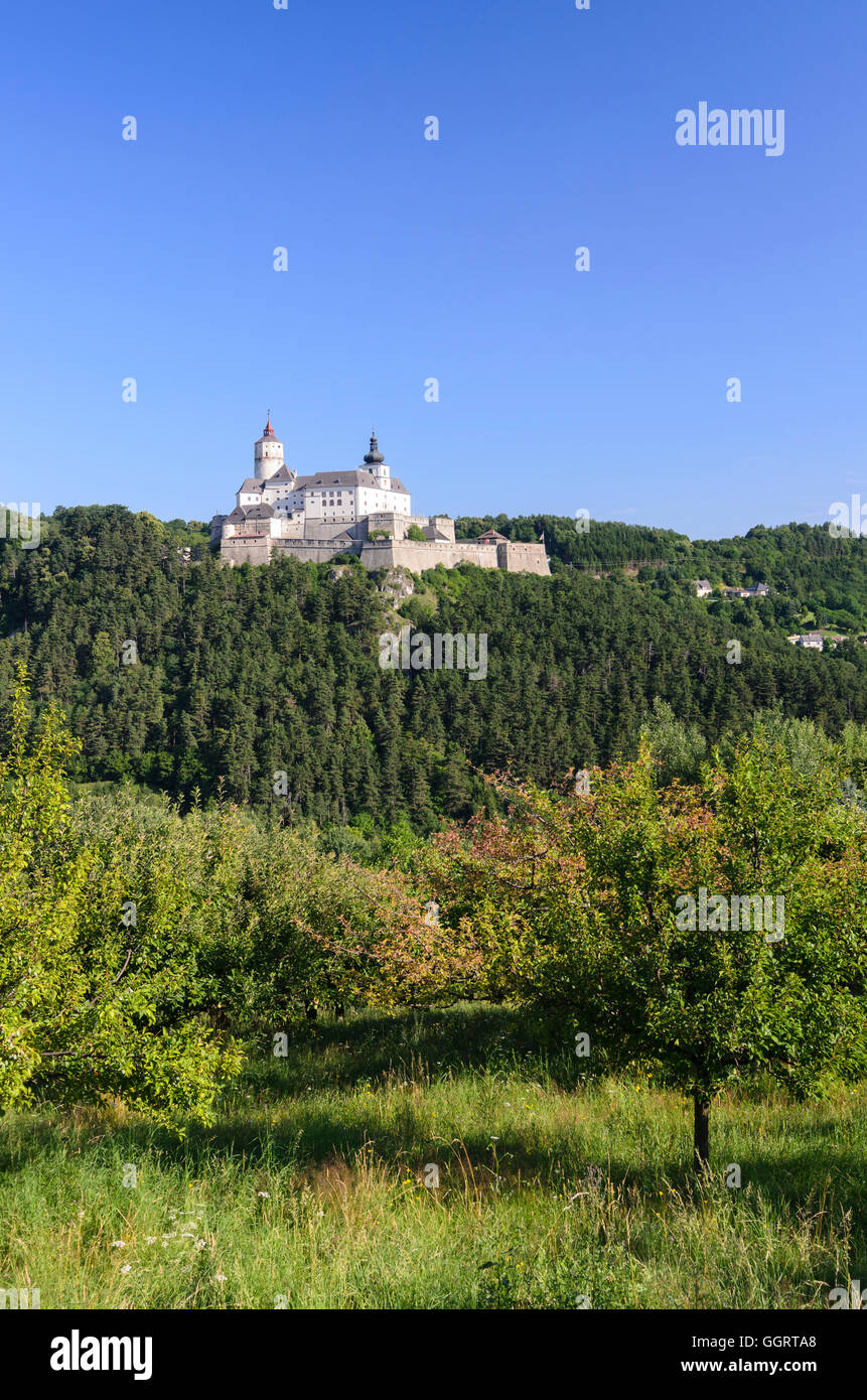 Forchtenstein: Forchtenstein Castle, Austria, Burgenland Stock Photo ...