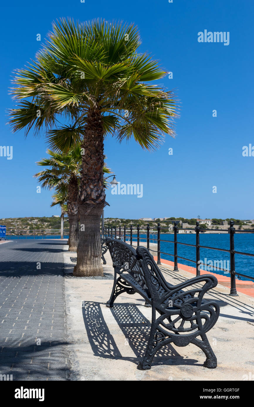 Bench under a palm tree facing the sea Stock Photo - Alamy