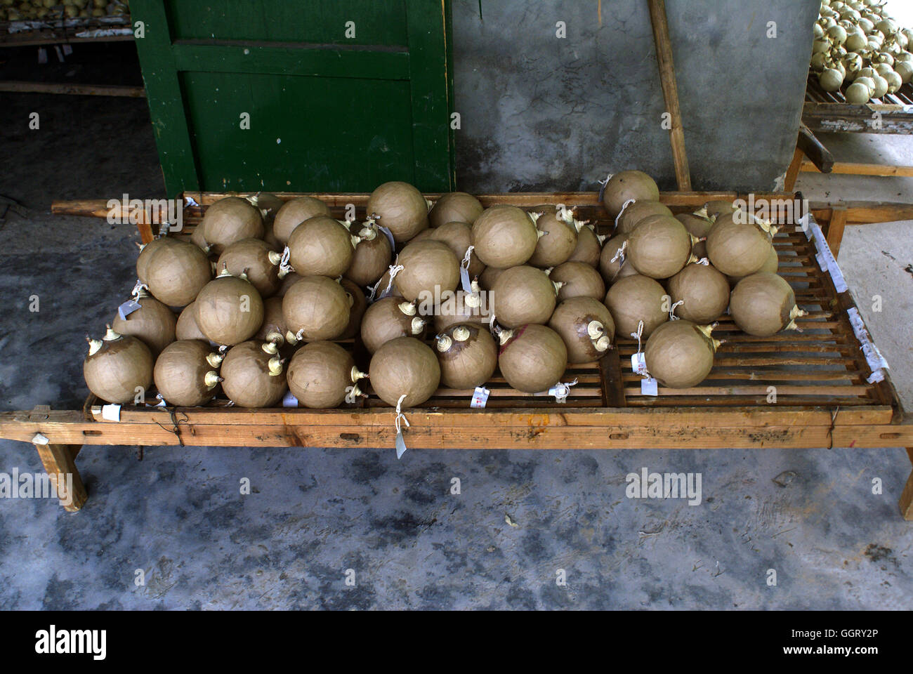 Three inch shells at the Sunny International Fireworks factory in ...