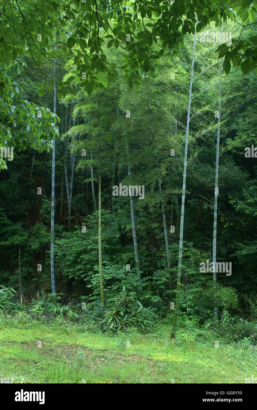 Black powder factory hi-res stock photography and images - Alamy