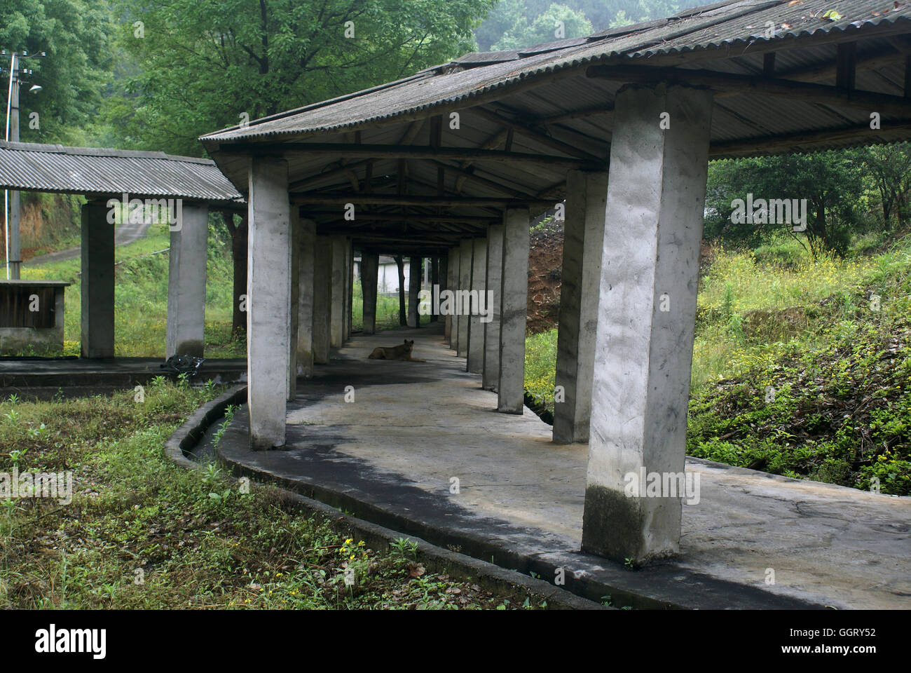 Covered path leading to storage sheds for black powder at the Sunny ...
