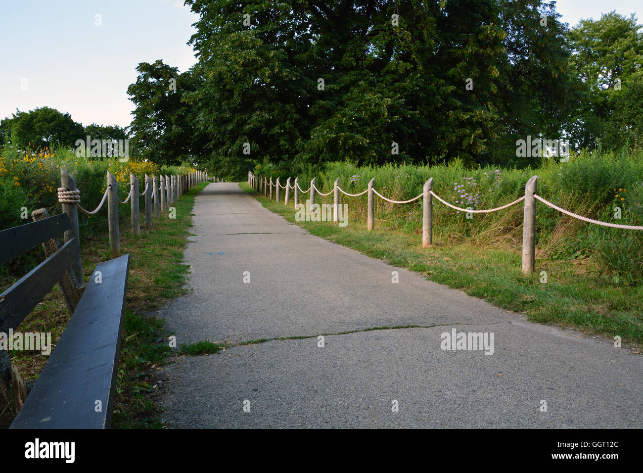 Chicago's lake front jogging path takes a detour through a prairie ...