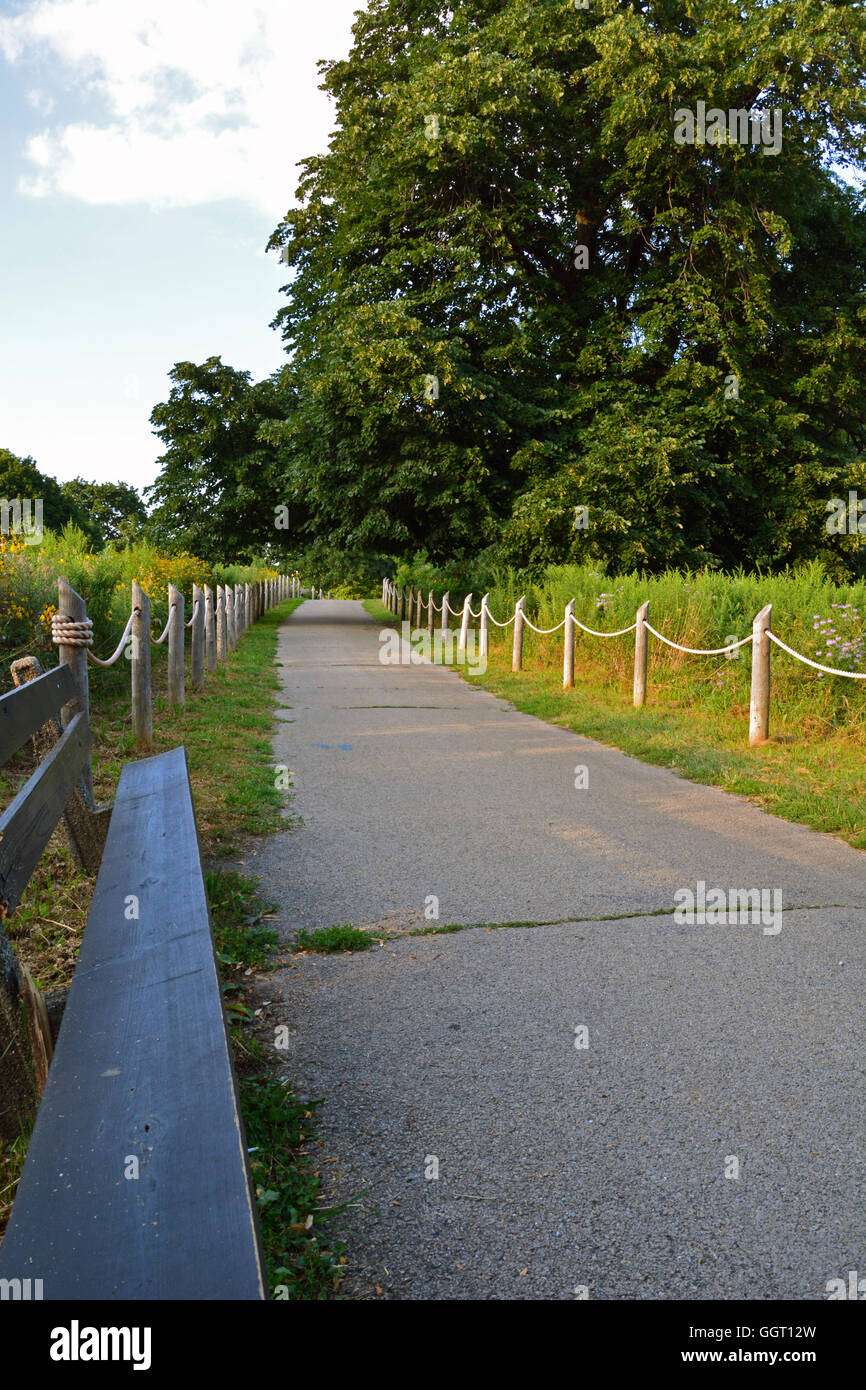 Chicago's lake front jogging path takes a detour through a prairie ...
