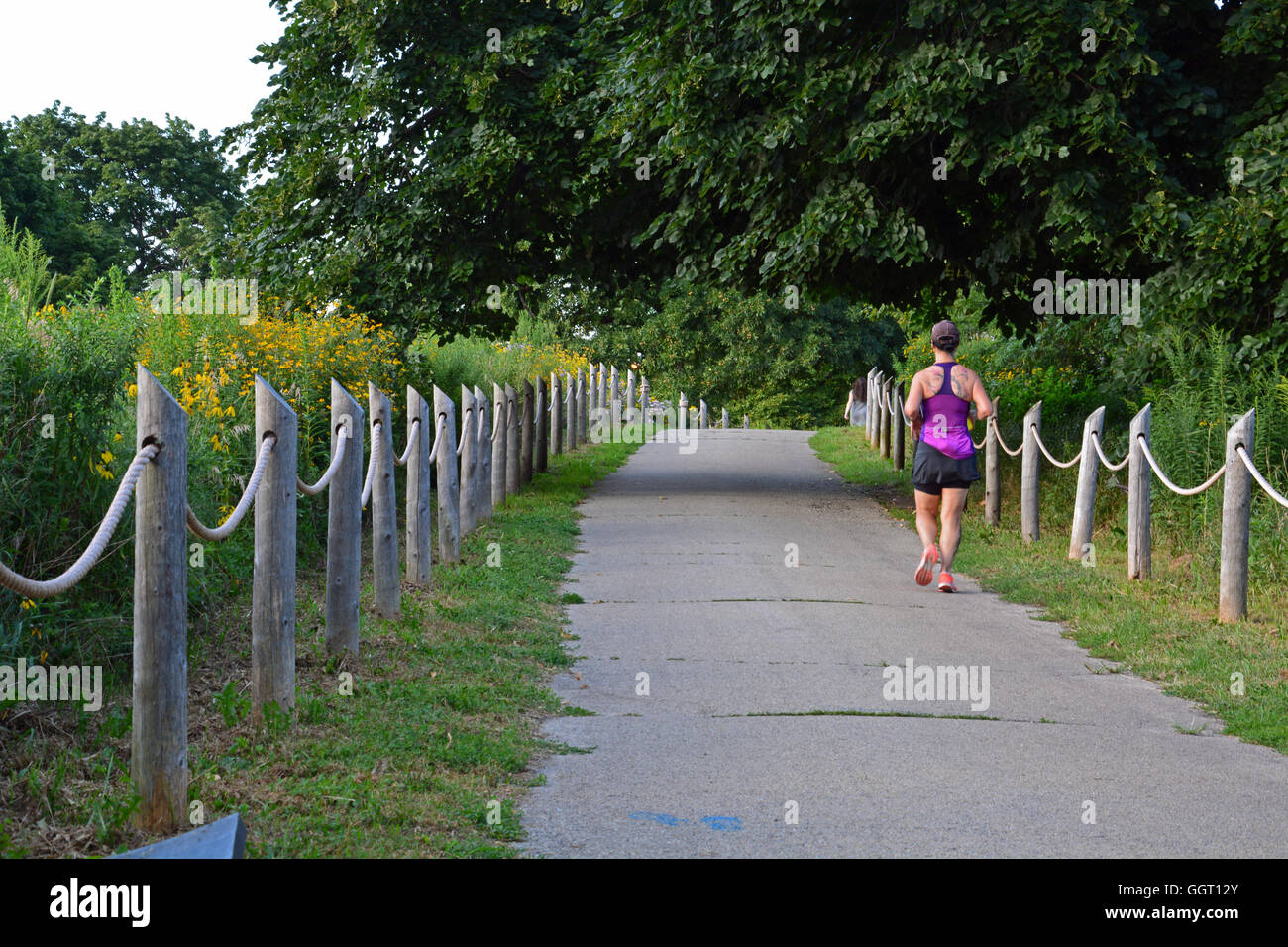 Chicago's lake front jogging path takes a detour through a prairie ...