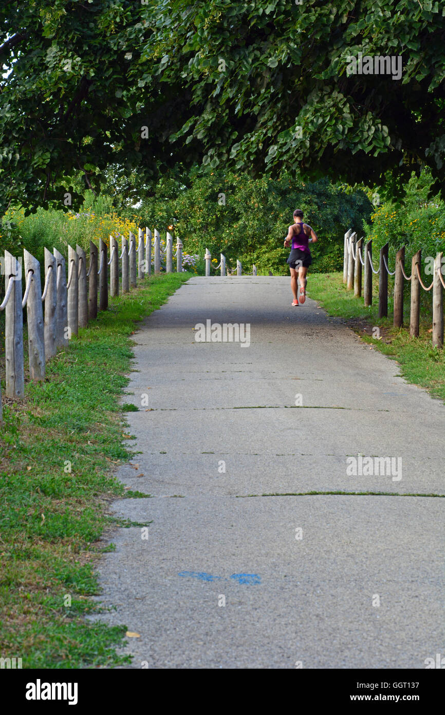 Chicago's lake front jogging path takes a detour through a prairie ...