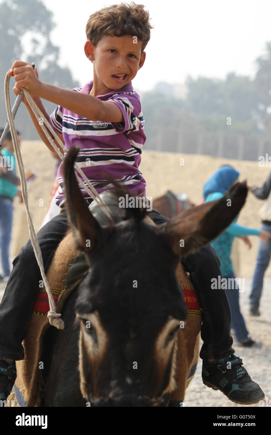 Boy riding a donkey in Cairo, Egypt Stock Photo - Alamy