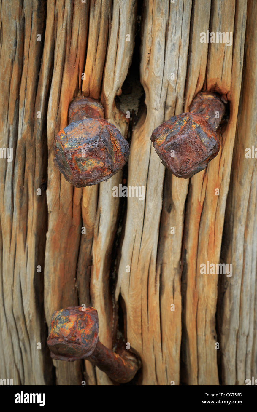 Wooden groynes on the beach at spurn point Stock Photo - Alamy