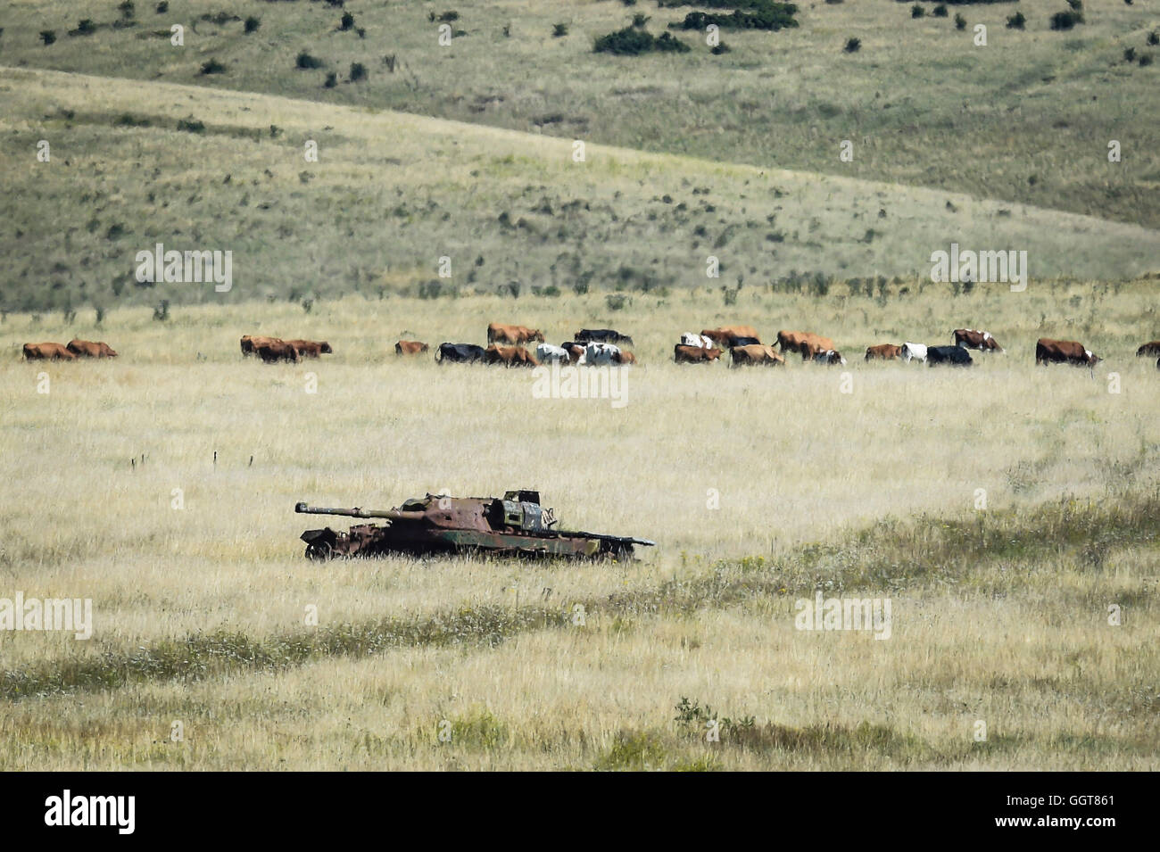 Salisbury plain tank hi-res stock photography and images - Alamy