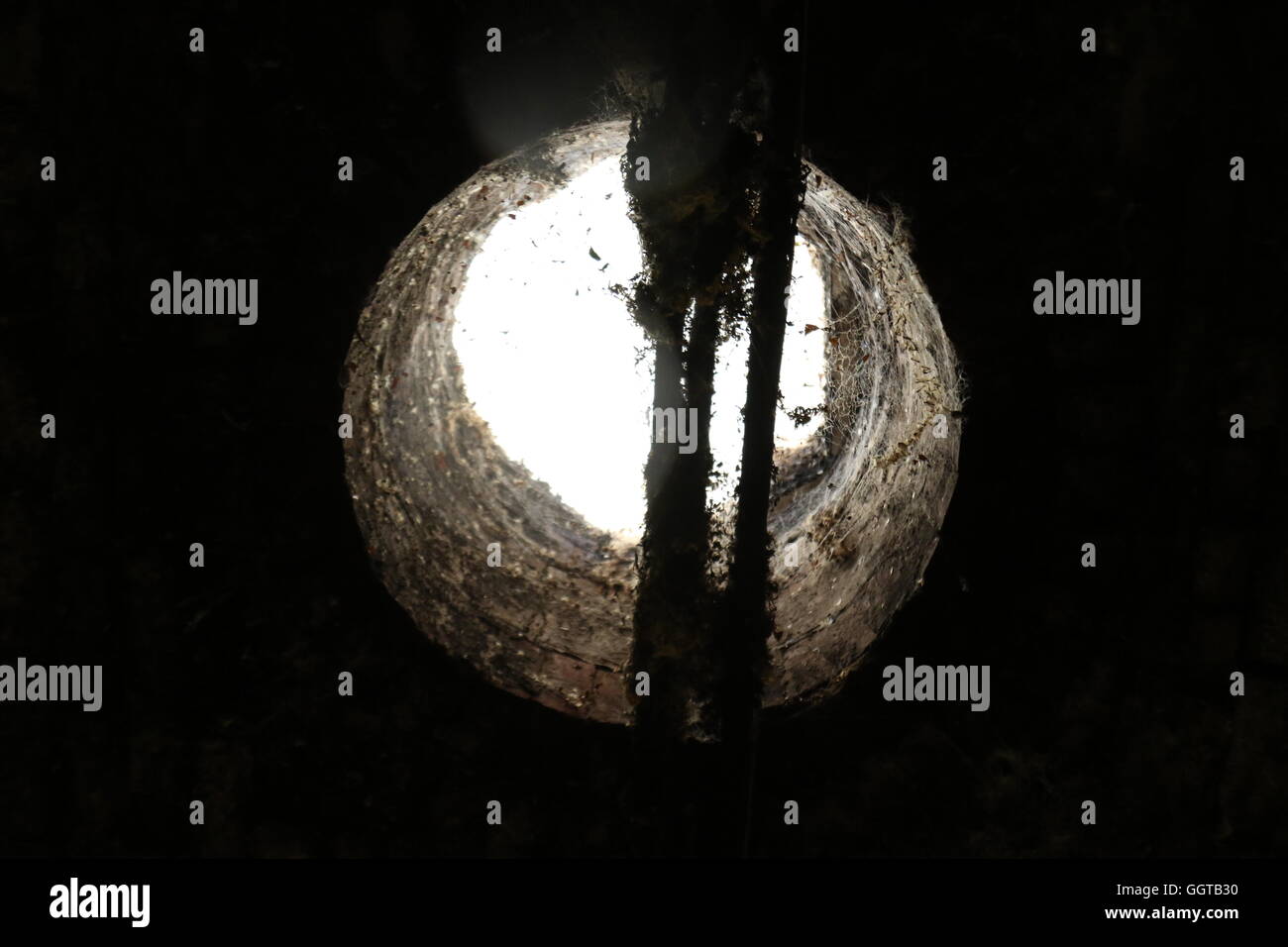 Cellar hole hi-res stock photography and images - Alamy