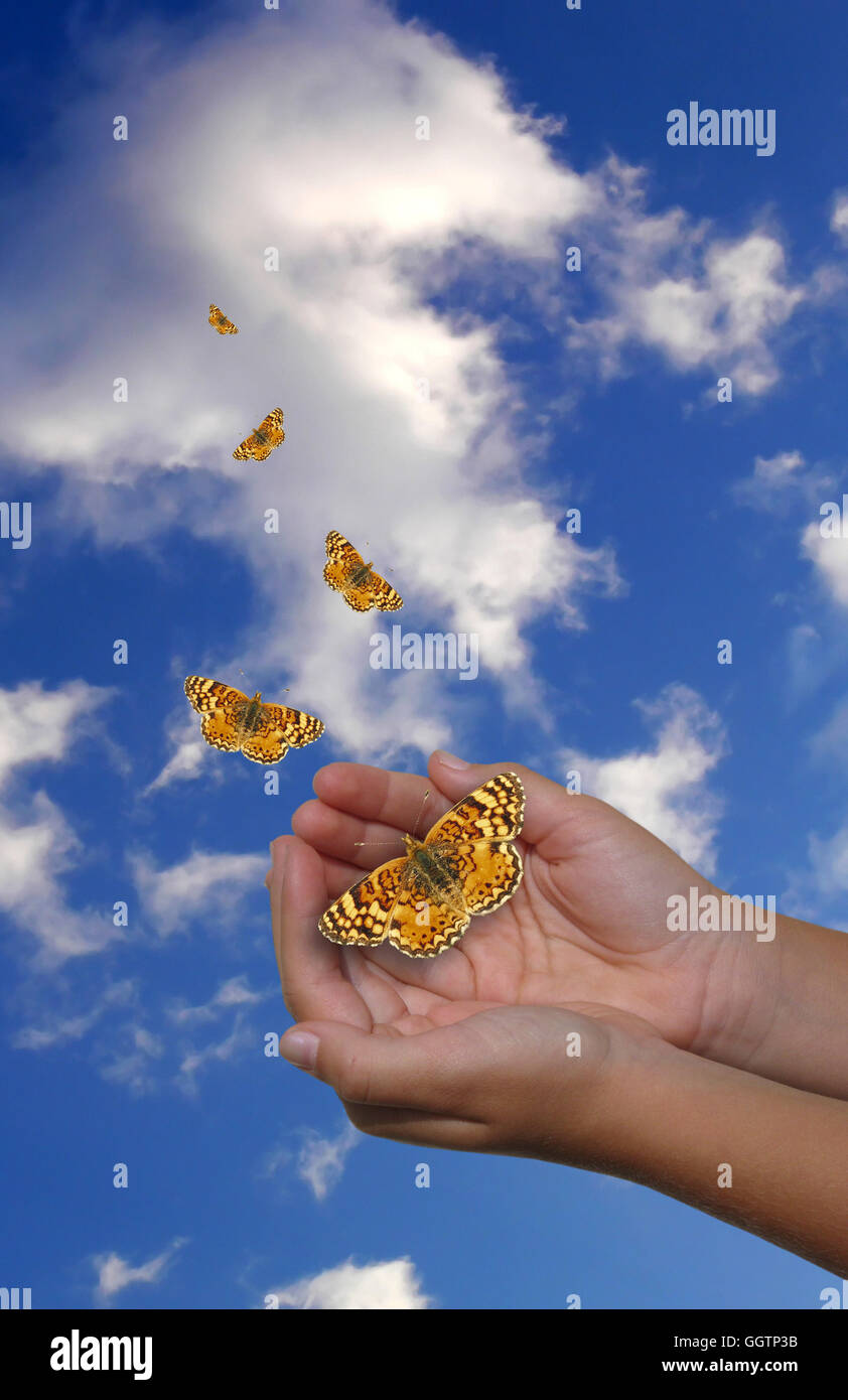 a child hands cupped with five butterflies flying over a blue cloudy ...