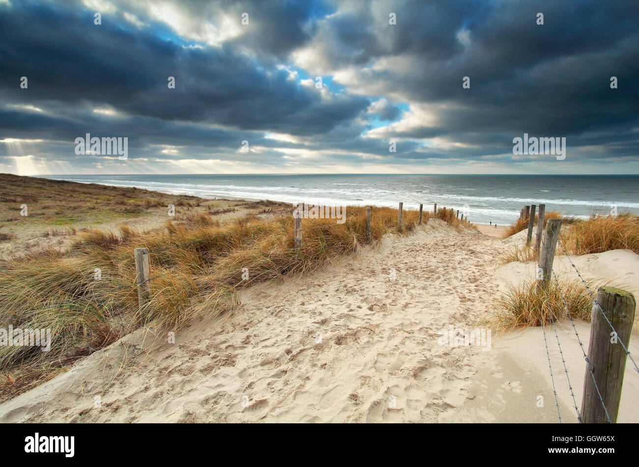 sand path with fence to North sea beach, Netherlands Stock Photo - Alamy