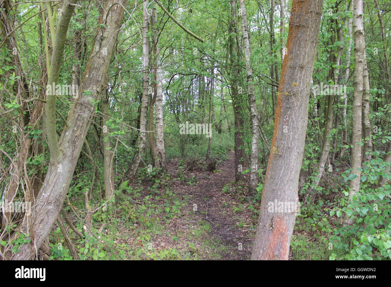 California Country Park Stock Photo - Alamy
