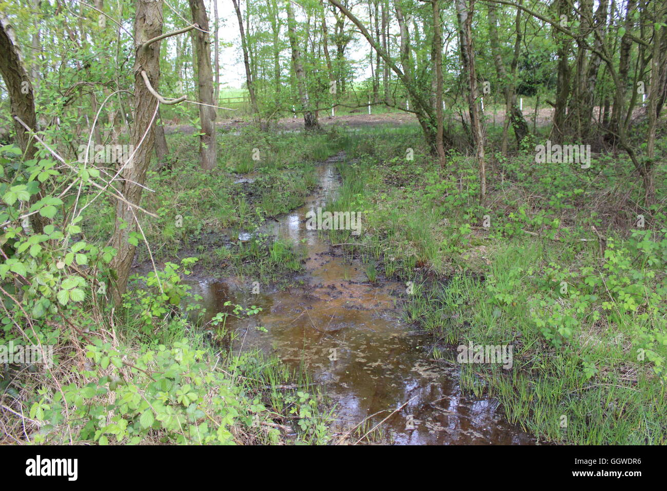 California Country Park Stock Photo - Alamy